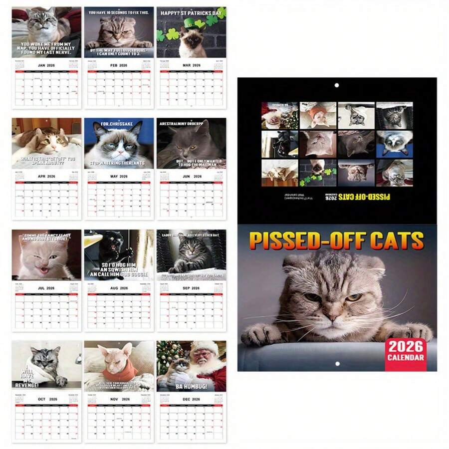 2026 Angry Cat Calendar, Featuring Detailed Cat Illustrations, 12-Month ...