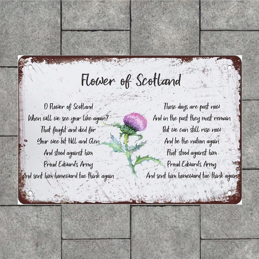 1pc Vintage Metal Tin Sign - Scottish Floral & Thistle Pattern Retro ...