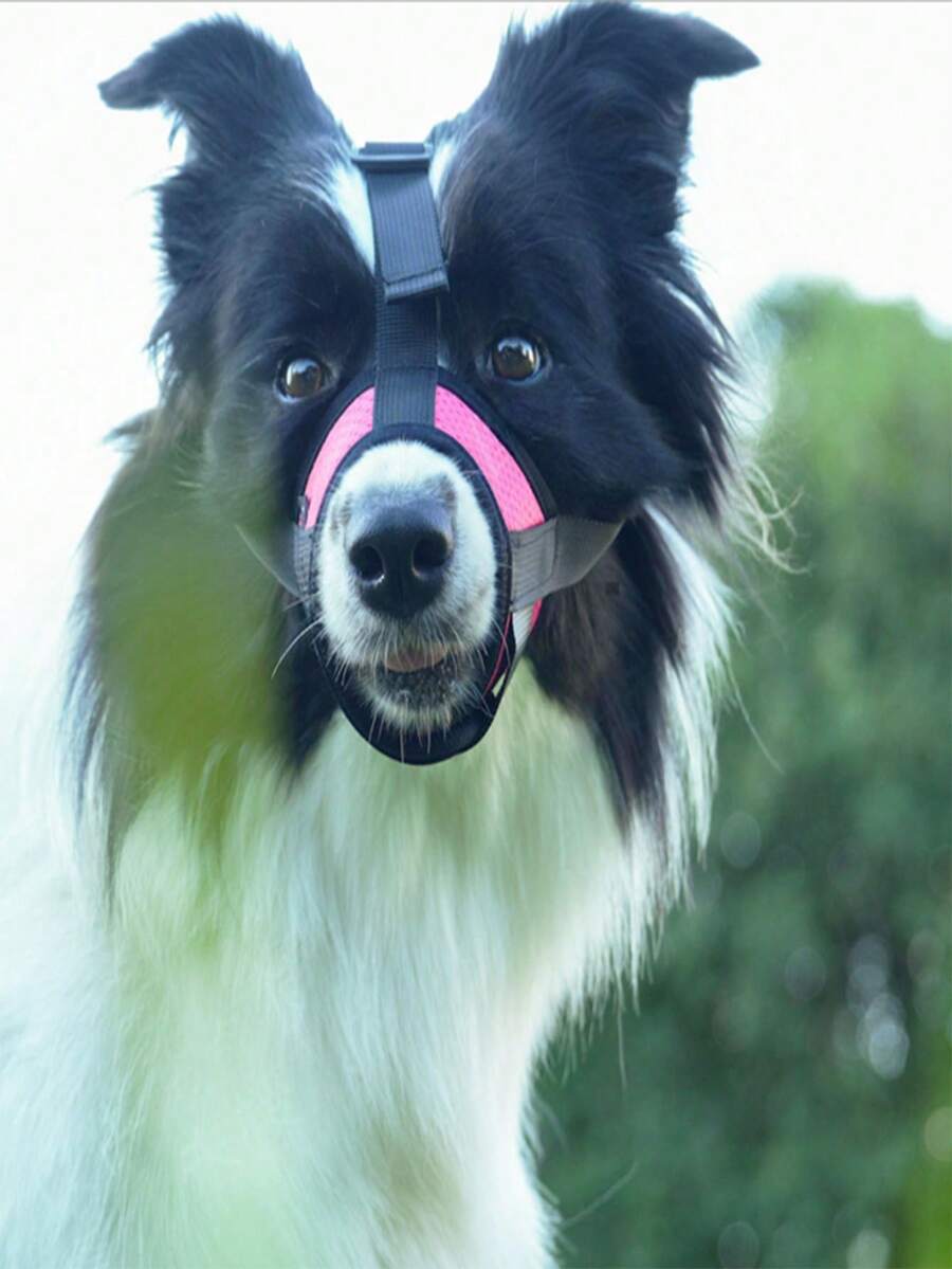 1pc Fabric Dog Muzzle, Anti-Bite Anti-Lick Mask, Prevent Barking ...
