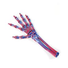 3D Printed Halloween Skeleton Claw - Articulated Movable Joints, Scary ...