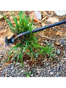 Nombre del producto | Colección Online de Nuevas Tendencias | SHEIN Chile