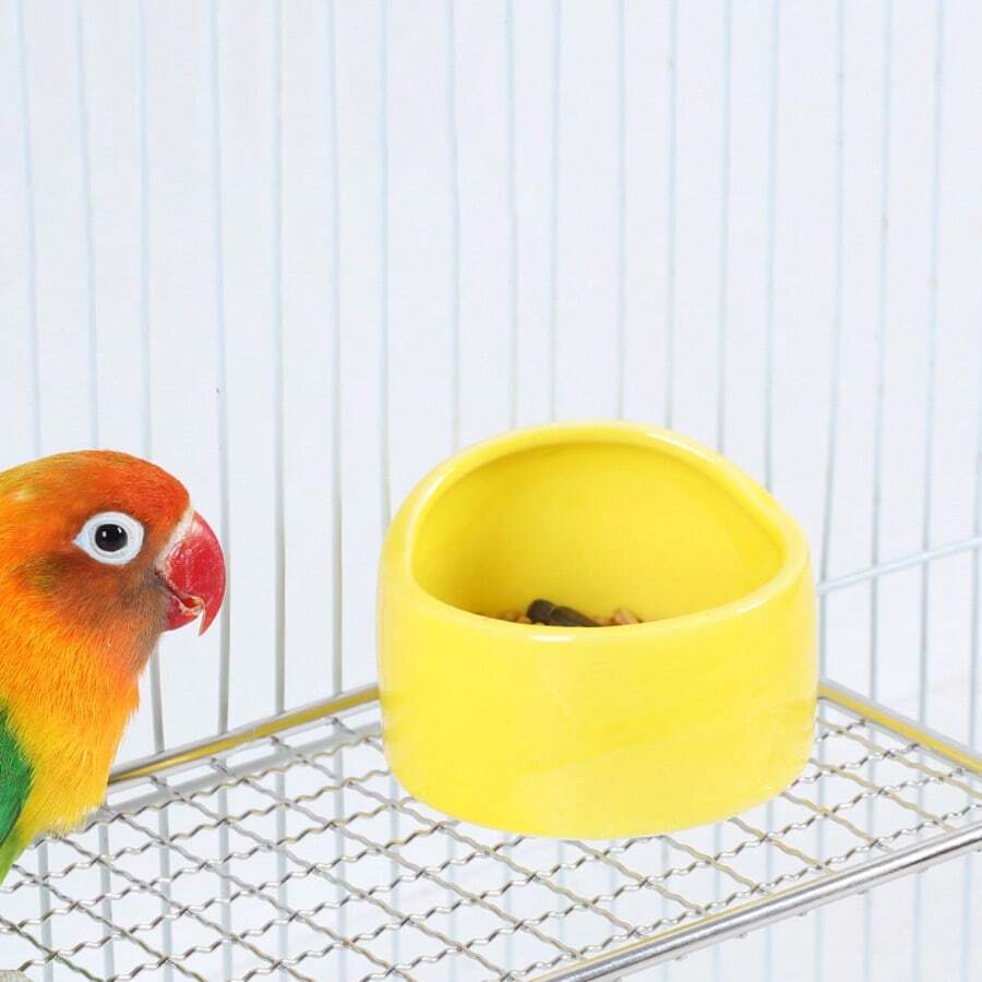 Bird Bowl, Parrot Bowl, Bird Food Can, Bird Feeder, Splash Proof Eating ...
