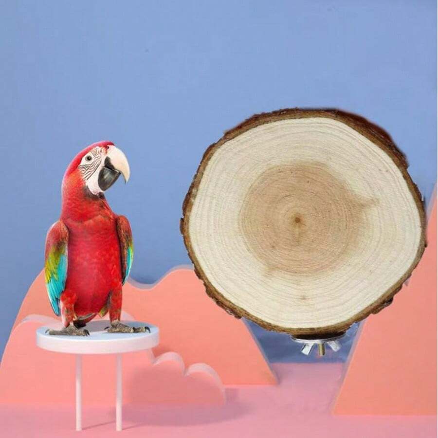 Juguete grande de loro de color aleatorio, percha colgante para pájaros ...