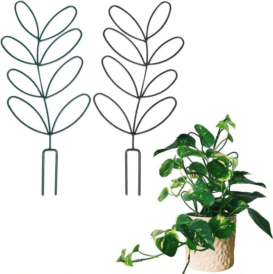 2Pack Indoor Plant Trellis Metal Wire Garden Trellis ,Small Climbing ...
