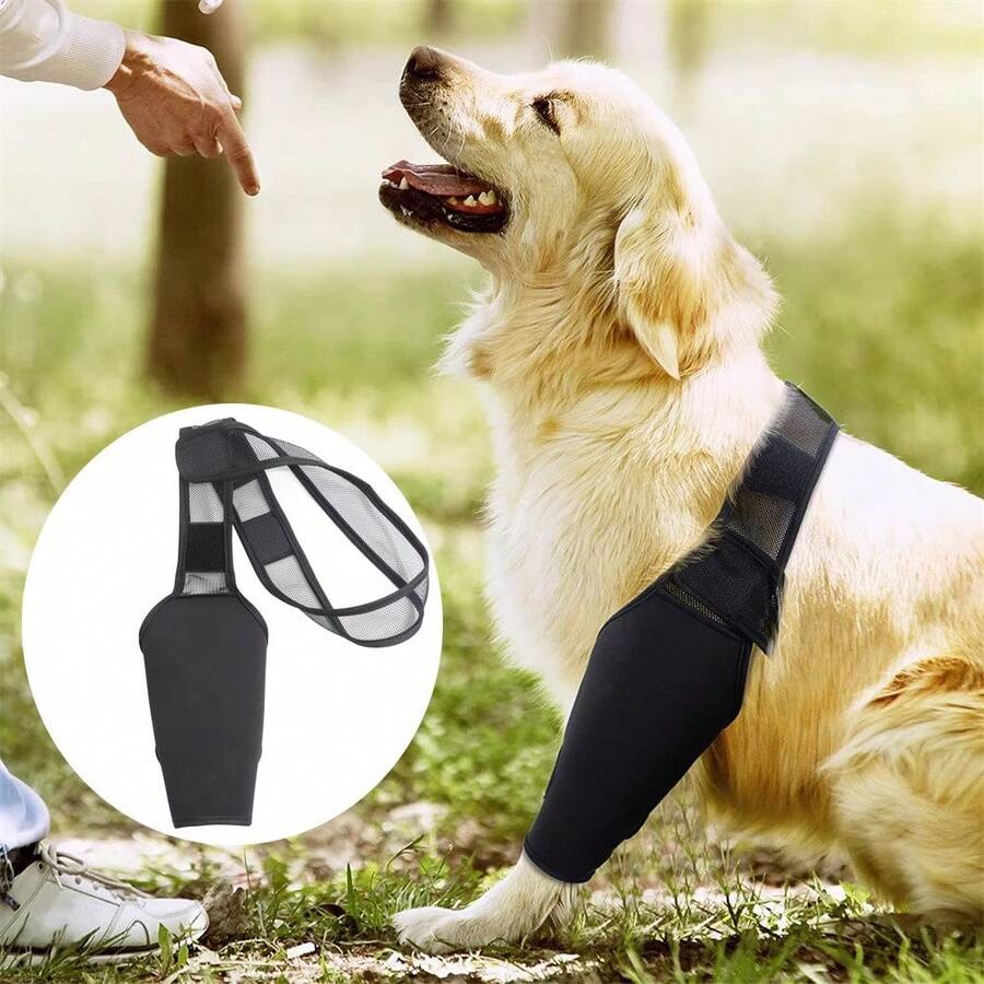 Dog Leg Fracture Brace, Pet Front/Hind Leg Support Splint, Knee ...