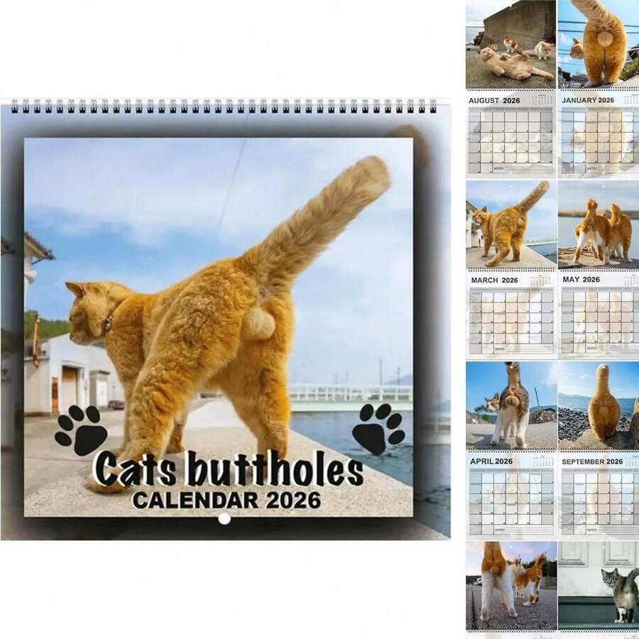 2026 Cat Ball Calendar, 2026 Funny Cat Butthole Calendar, Gag Gifts For Cats Lovers, Weird Humor ...