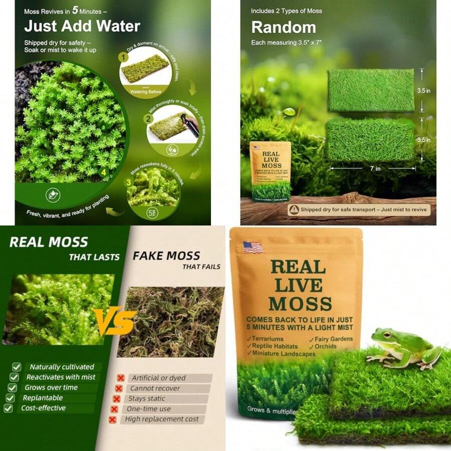 Live Moss Duo Pack 2 Mixed Varieties Of Natural Moss For Reptile ...