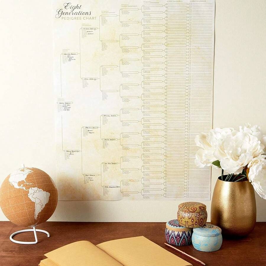 Okuna Outpost 15 Pack Family Tree Charts To Fill In - Poster Paper - 8 ...