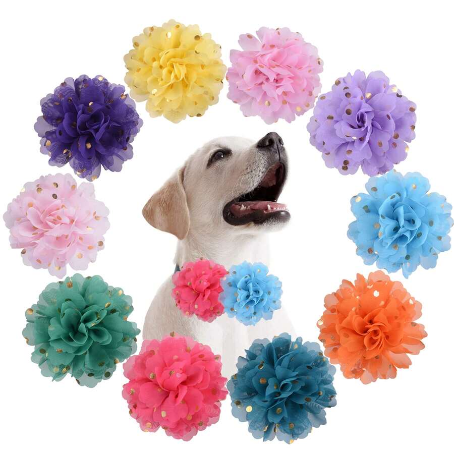 Colorful Pet Collar Flowers - 10 Pack Chiffon Bows For Small, Medium ...