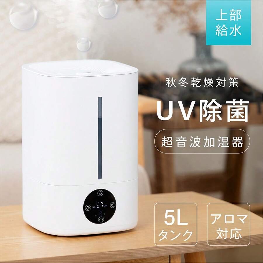 Ultrasonic Humidifier With Ion Sanitizer, Negative Ion Filter ...