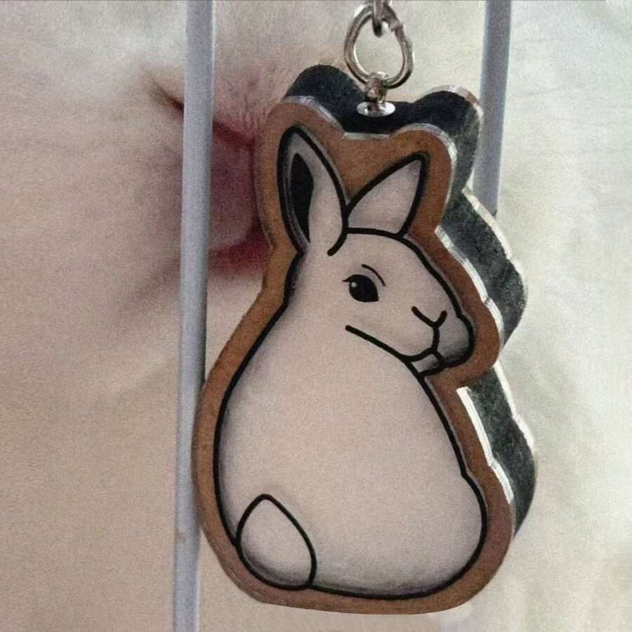 1pc Cute Rabbit Fur Keychain, Rabbit Hair Keychain Pet Hair Memorial ...