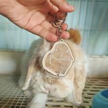 1pc Cute Rabbit Fur Keychain, Rabbit Hair Keychain Pet Hair Memorial ...