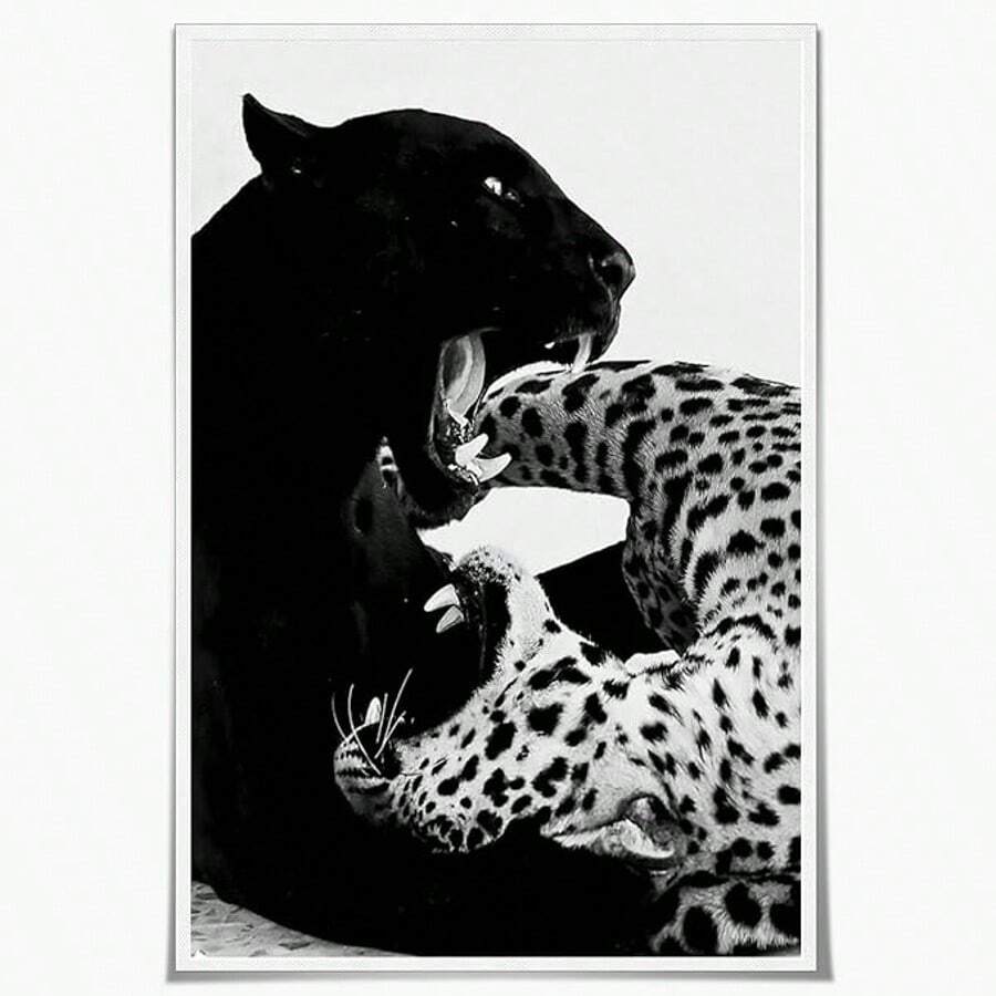 1pc Leopard And Jaguar Print, Black And White, Leopard Pattern, Vintage ...
