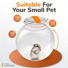 Clear Hamster Exercise Ball 7 Sturdy Dwarf Hamster Ball For Active Play ...