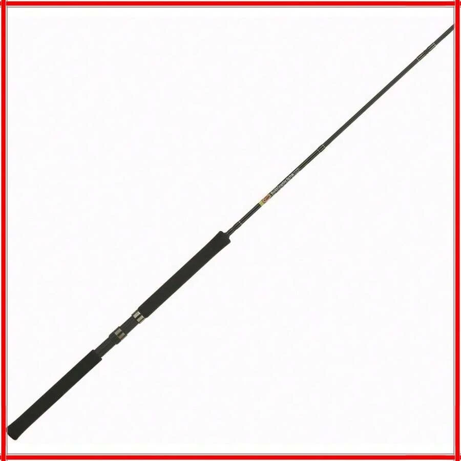 10-Foot Graphite Fishing Rod With Jig Pole For Versatile Angling ...