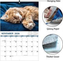 Calendario 2025-2026, Calendario de Siestas de Gatos 2025-2026 de Pared. Jul 2025 - 2026, 28 cm ...