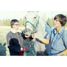 Equine Humane Twitch Easy To Use On Horse Plaiting Vet Farrier | Moda ...