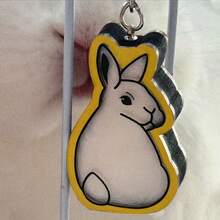 1pc Cute Rabbit Fur Keychain, Rabbit Hair Keychain Pet Hair Memorial ...