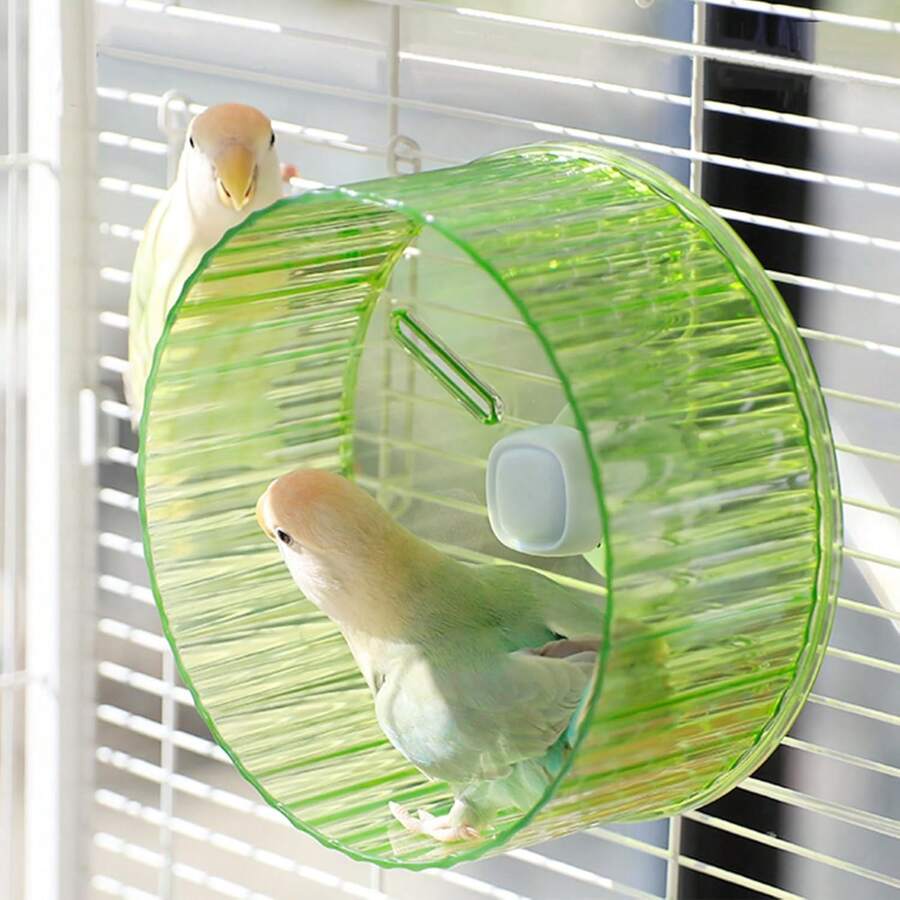 6.8-Inch Parrot Silent Running Wheel, Parrot Exercise Wheel, Birds ...