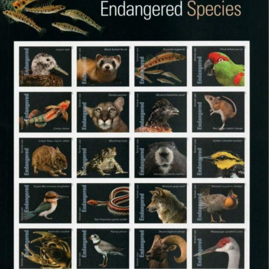 100 Pcs. 2023 Endangered Species, Animals. Collectible. Stamps. Forever. | aktuelle Trends ...