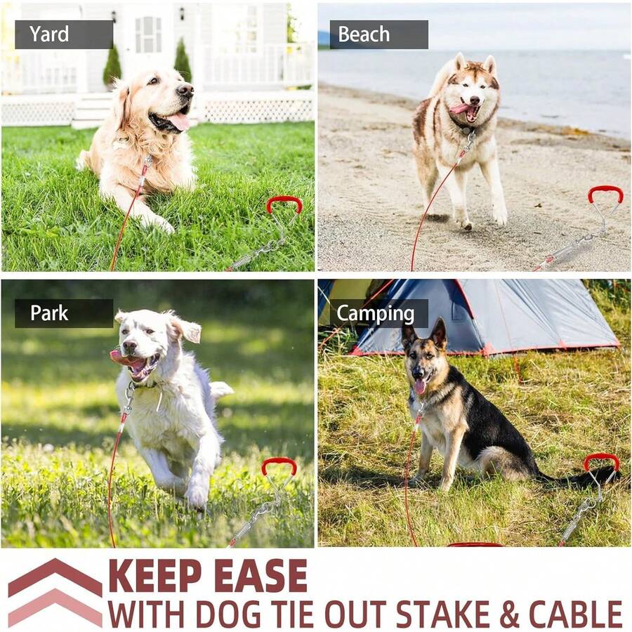 Dog Tie Out Stake And Dog Run, 6M Long Lead With Yard Stake, Chains ...