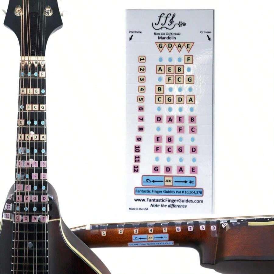 Fantastic Finger Guide For Mandolin | Fretboard & Fingerboard Stickers ...
