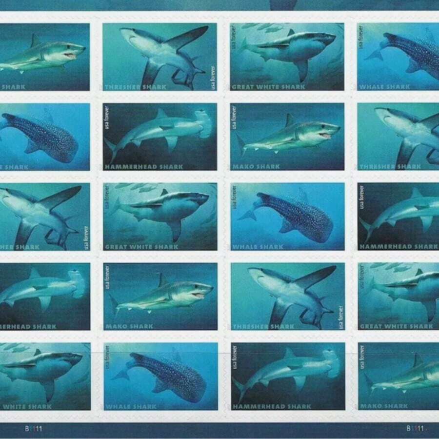 Sharks Pane Of 20 (100 Total) Forever Stamps | SHEIN USA