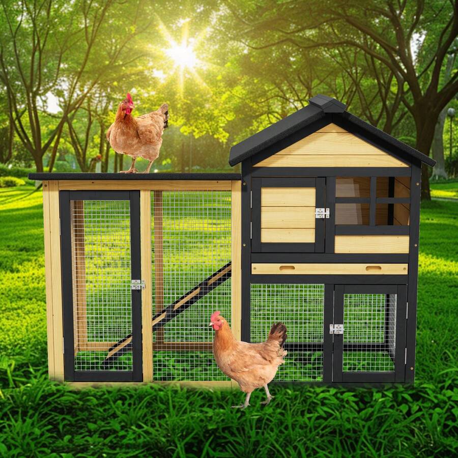 Gallineros para exterior: Jaula para aves con nido, bandeja extraíble ...