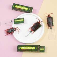 Simulation Cockroach Chewing Gum Trickery Prank Toy April Fool's New ...