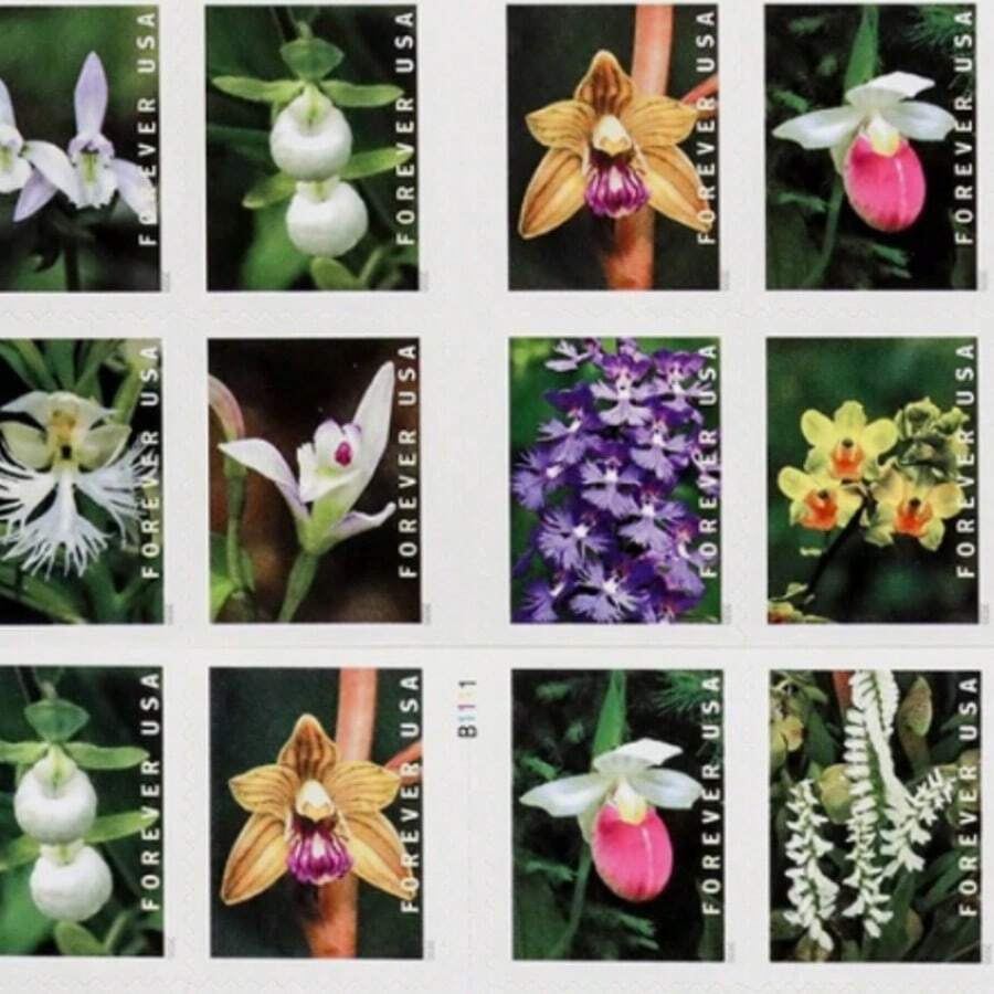 100 Pieces Of 2020 Wild Orchids Forever Stamps. Collectible Stamps ...