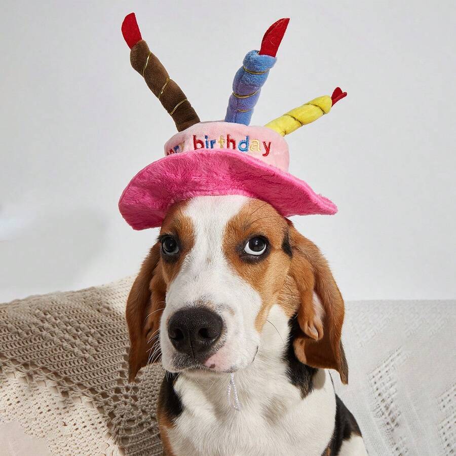 1pc Random Color Plush Pet Birthday Hat, Cute Candle Hat, Cat/Dog ...