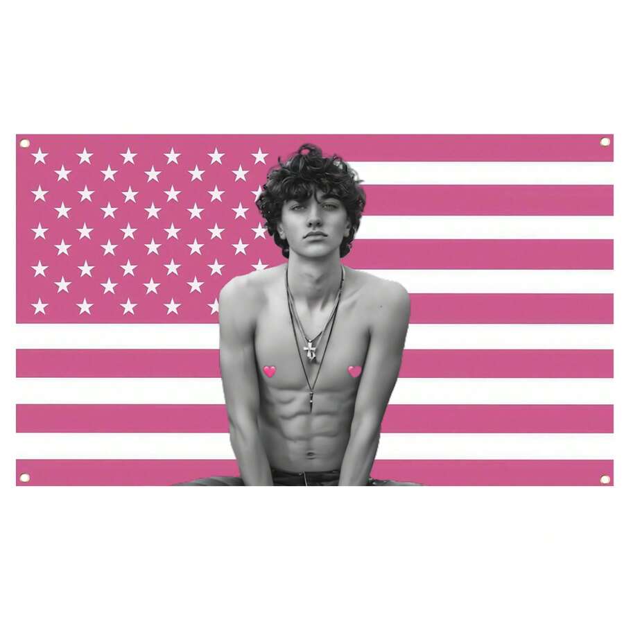 Jeremiah Fisher 150*90cm With 4 Brass Grommets,Pink Aesthetic Dorm ...