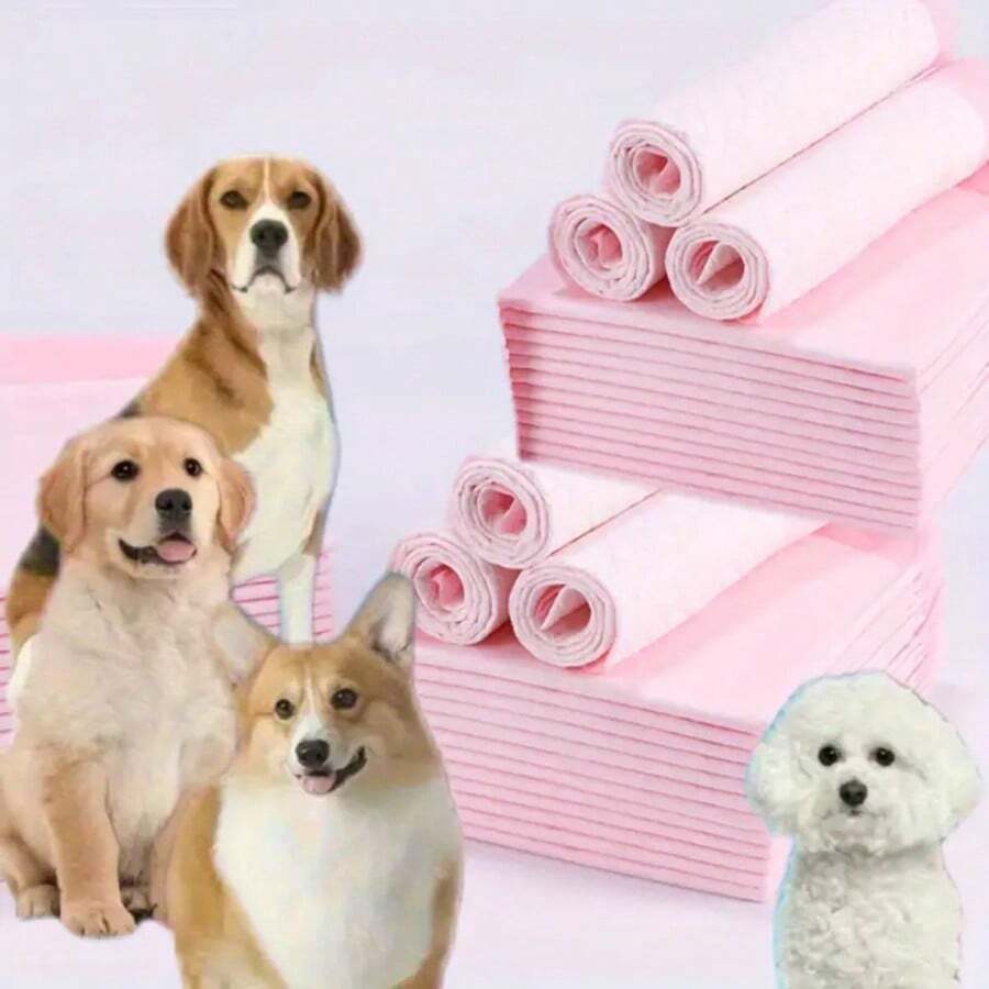 Lislark 50/100 Large Puppy Training Trainer Train Pads Toilet Pee Wee ...