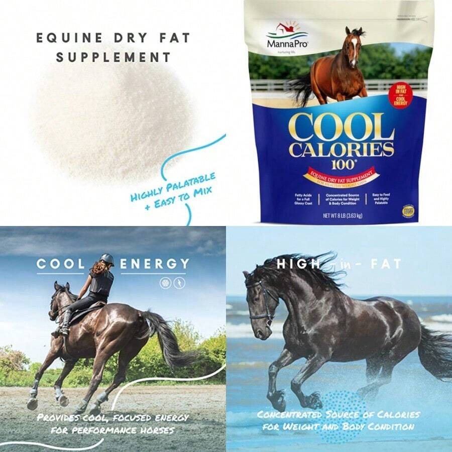 Cool Calories 100 Equine Fat Supplement For Horses Supports Healthy ...