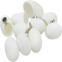 10 Pack Silk Cocoons Witagnets For Jumping Spiders Spoods Hides Silk ...