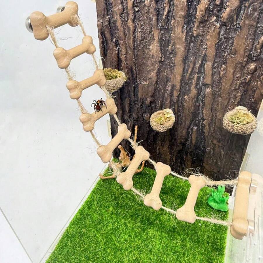 Jumping Spider Rope Bridge,Magnetic Climbing Bridge, Spider Hide ...