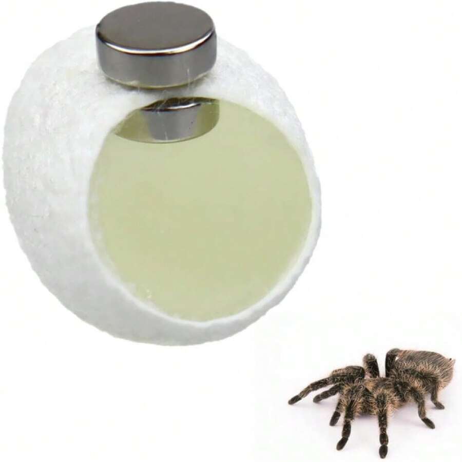 10 Pack Silk Cocoons Witagnets For Jumping Spiders Spoods Hides Silk ...