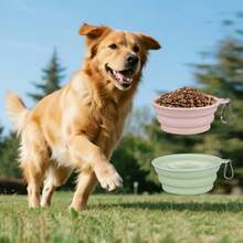 Portable Dog Bowl, Collapsible Silicone Outdoor Dog Bowls, Pet ...