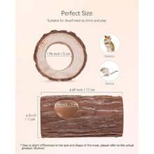 Natural Wooden Hamster Mouse Tunnel Tube Toy Forest Hollow Tree Trunk ...