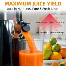 celiberry Cold Press Juicer Machines, Slow Masticating Juicer With 5.3 ...