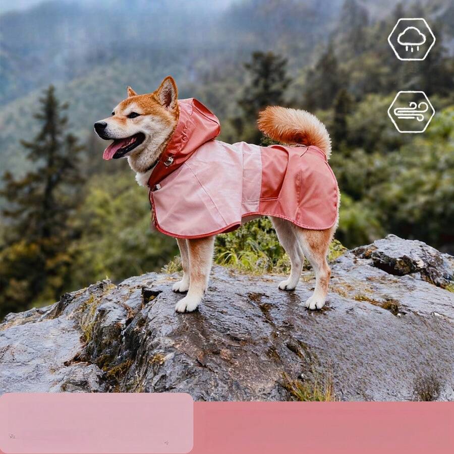 Summer Pet Clothes Dog Raincoat Waterproof Windproof All-Season Medium ...
