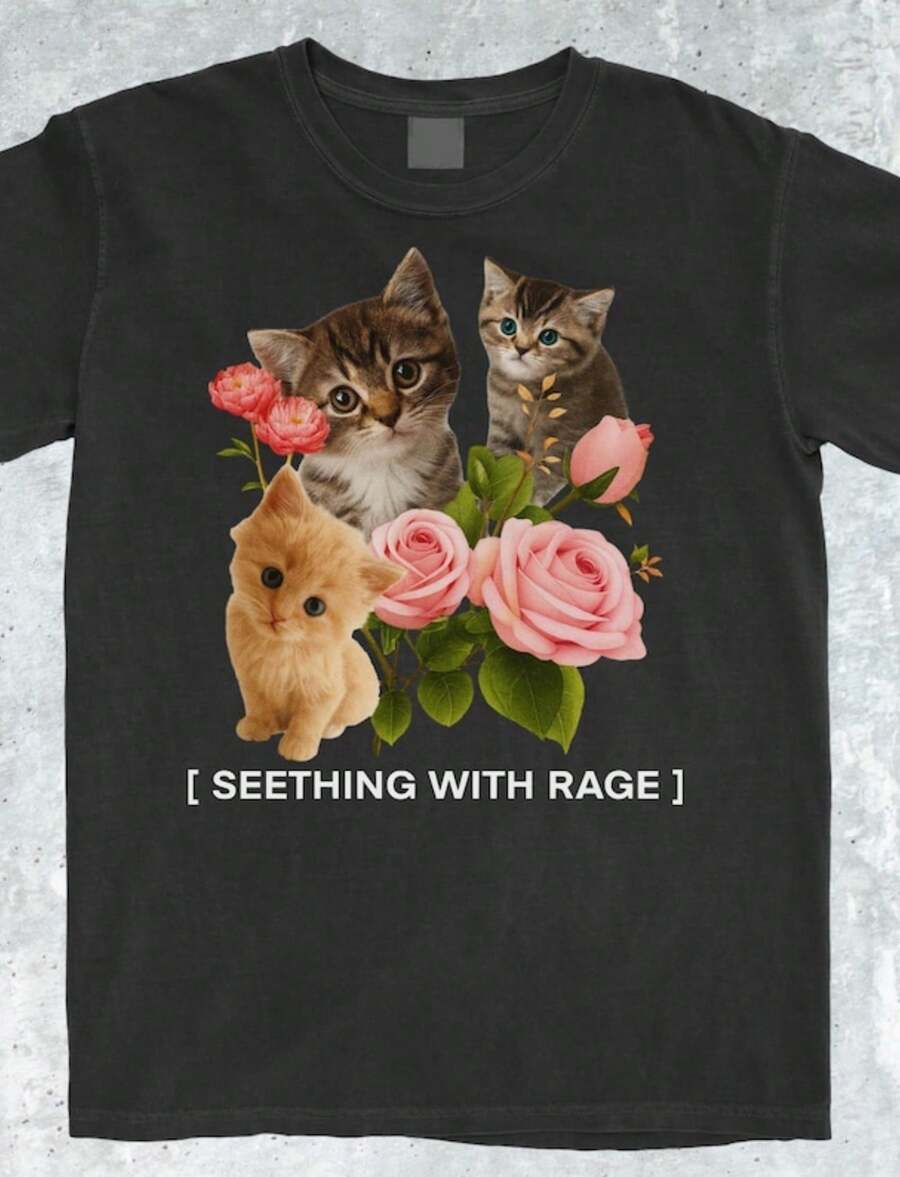 Funny Seething WIth Rage Cat Meme Shirt, Funny Meme Shirt, Popular Meme ...