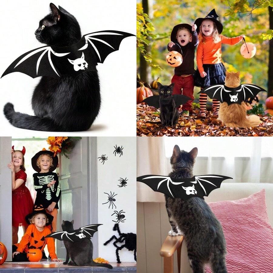 Cat Bat Wings Cat Bat Costume Cats Halloween Costumes Cute Bats Wings ...