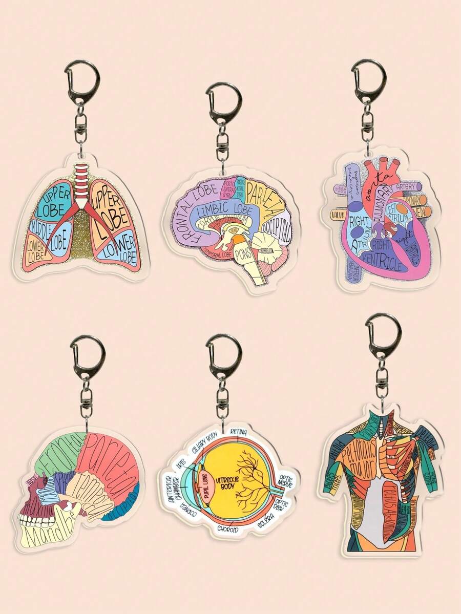 1/3pcs Acrylic Nurse Bag Charm Keychain With Anatomical Heart, Brain ...