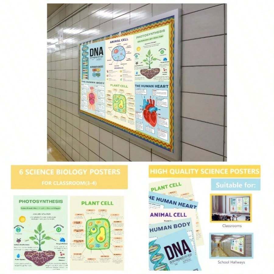 6 Biology Posters Classroom, 10x14in Matte - Laminated Educational ...