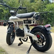 Electric Bike For Adults, 500W, 32MPH, 48V, 15-20AH Battery, Max 50-100 Miles Electric ...