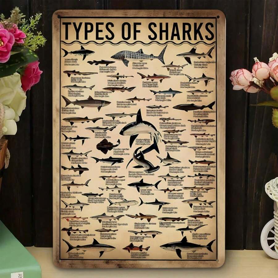 Vintage Sharks Tank Top Metal Sign For Men & Women Summer Beach Decor ...