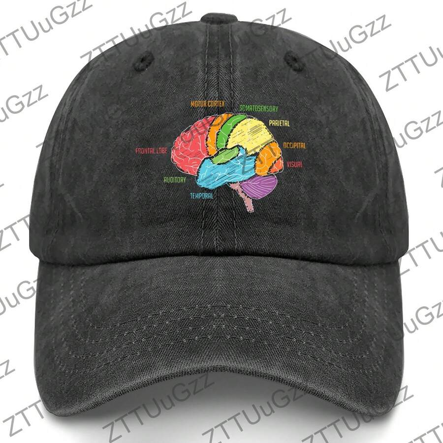 Ship Out Next Day Made In USA Brain Anatomy Color Chart | Mode en ligne ...