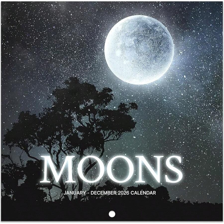 New Taste Price 2026 Wall Calendar - Calendar 2026, January 2026 ...