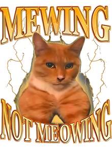 Mewing, pas miaulement, T-shirt mème Mewing, T-shirt mème Sigma Chat, T ...